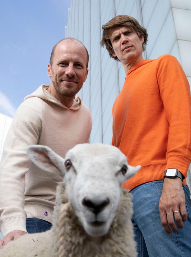 Sheep Inc. - Masters of the Knit